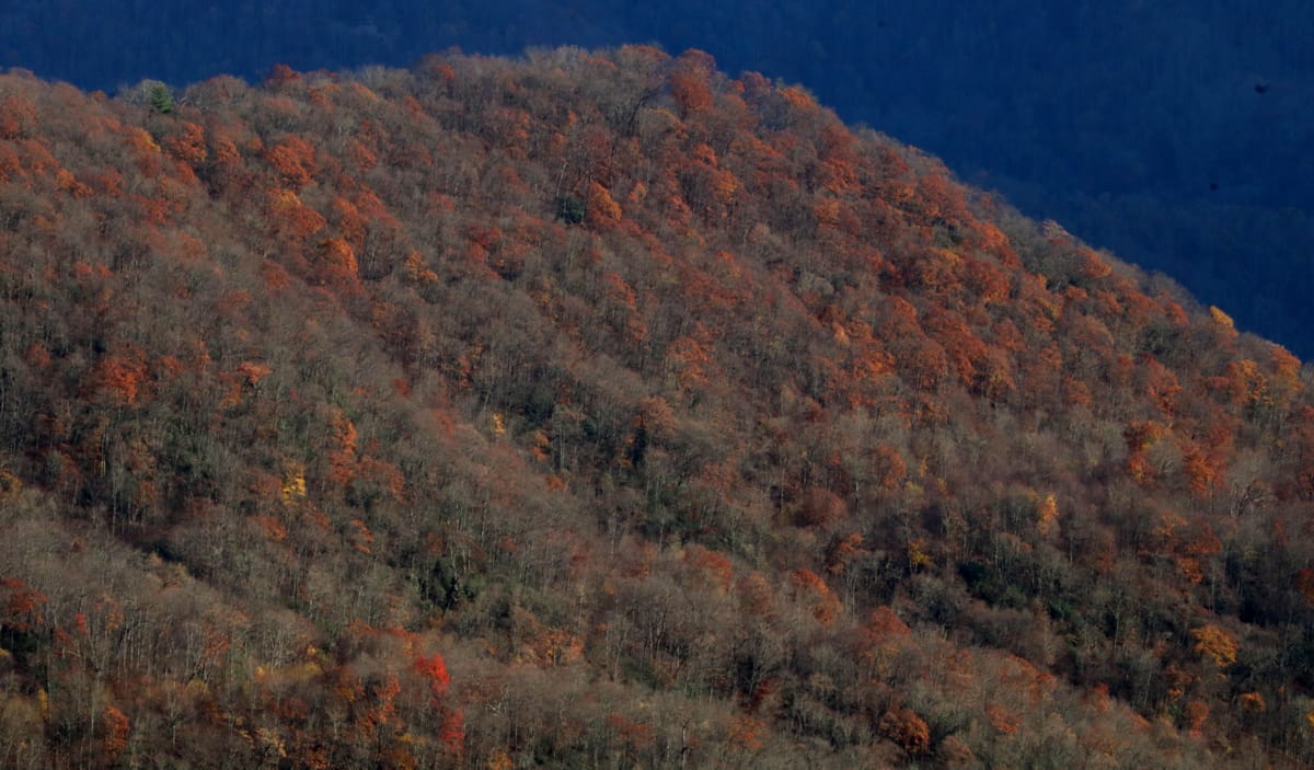 Stick Season has arrived